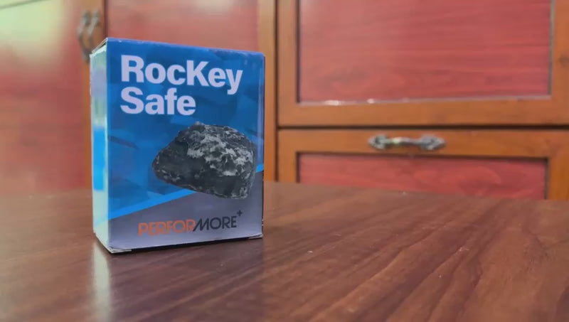 RocKey Safe Fake Rock Spare Key Holder – RingBinderDepot.com